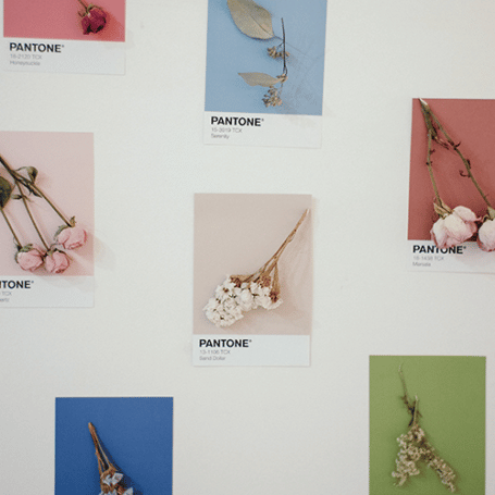 100m Pantone CMYK Colour 25mm Ribbon - Ribbon To Your Exact Colour